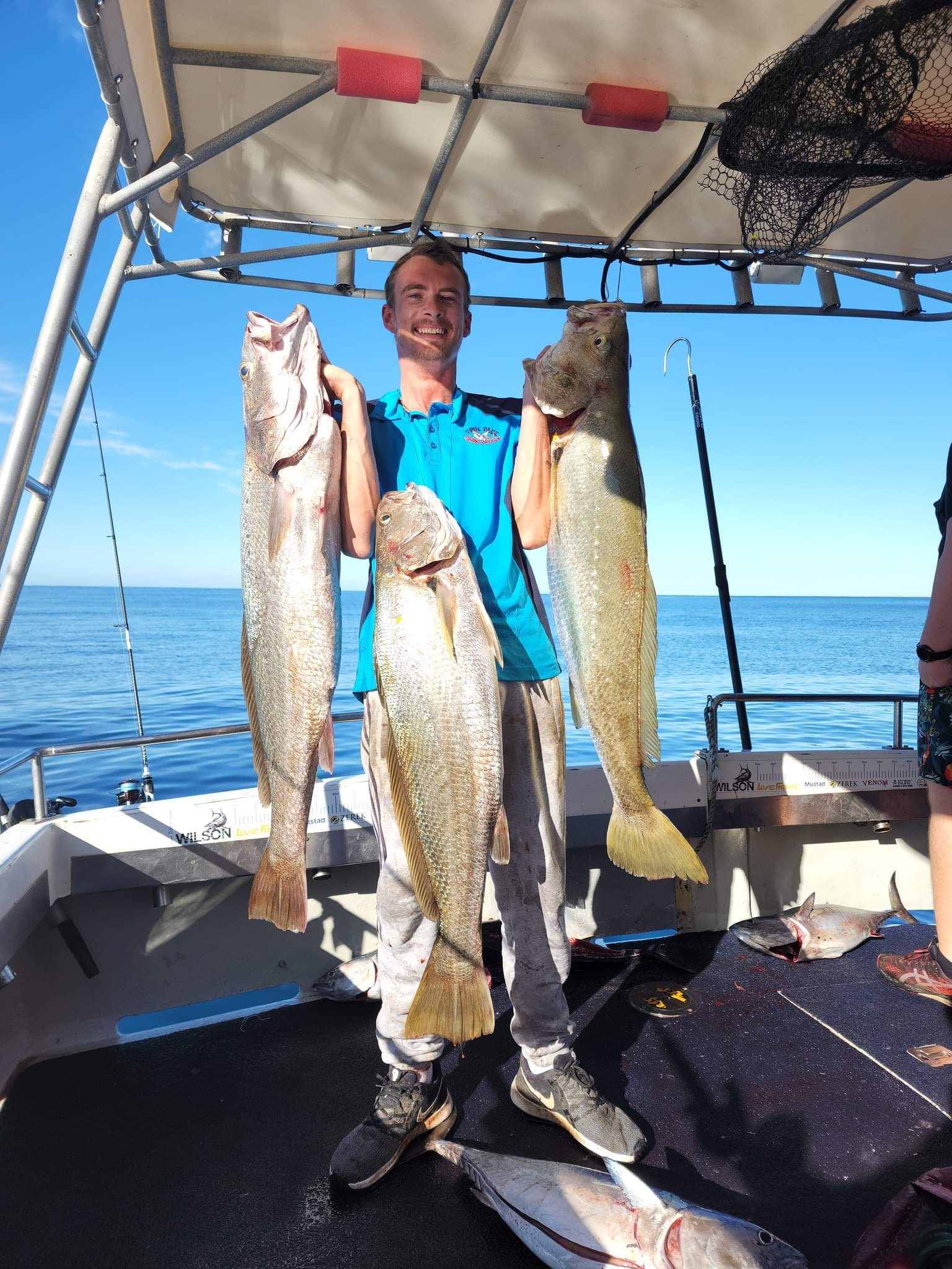 Gold Coast Bottom Reef Fishing | True Blue Fishing