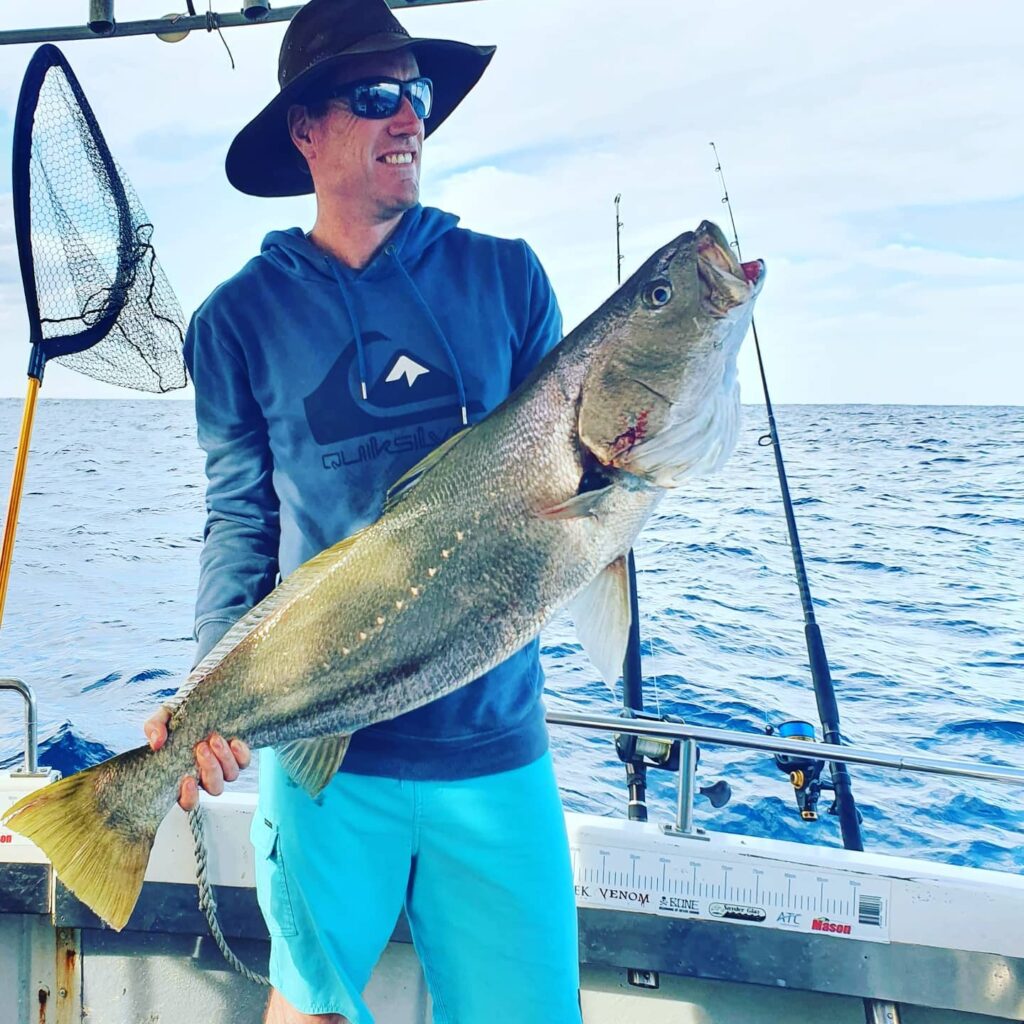 Seasonal Fishing Guide Gold Coast - True Blue Fishing Charters Gold Coast