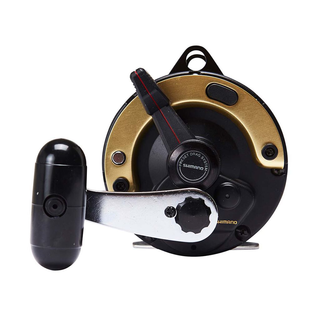 Shimano TLD 20 vs TLD 25 Overhead Reels: Features & Fishing