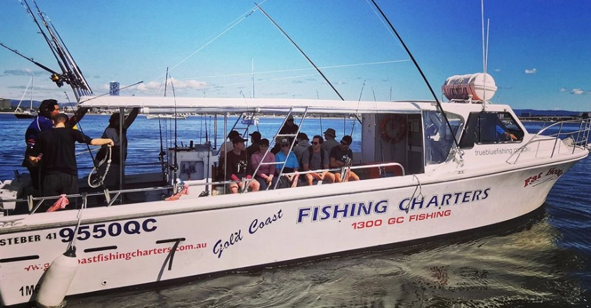Species Guide – Gold coast - True Blue Fishing Charters Gold Coast