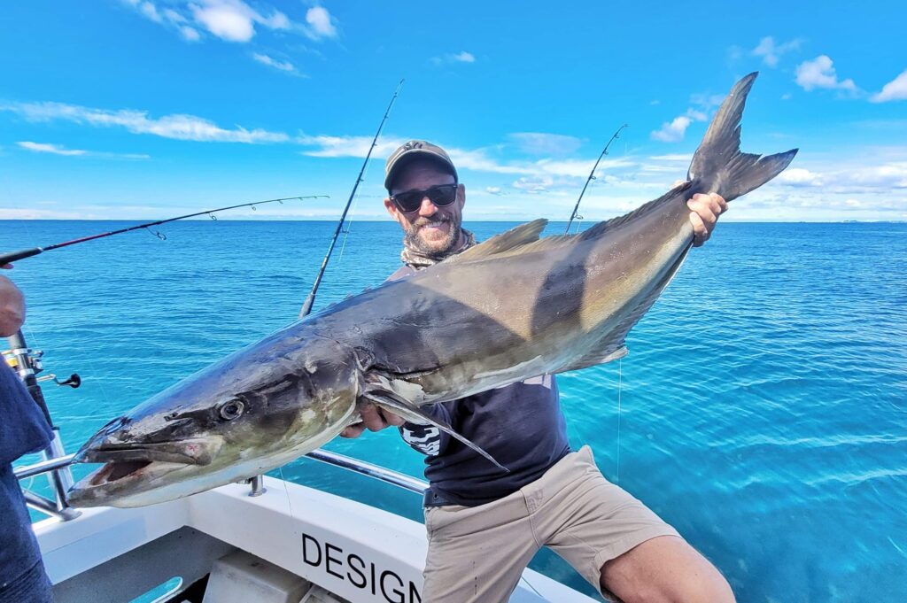 Gold coast Cobia fishing , Australia