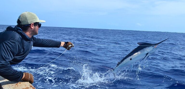 Garmin International Billfish Tournament: Marlin Fishing Event