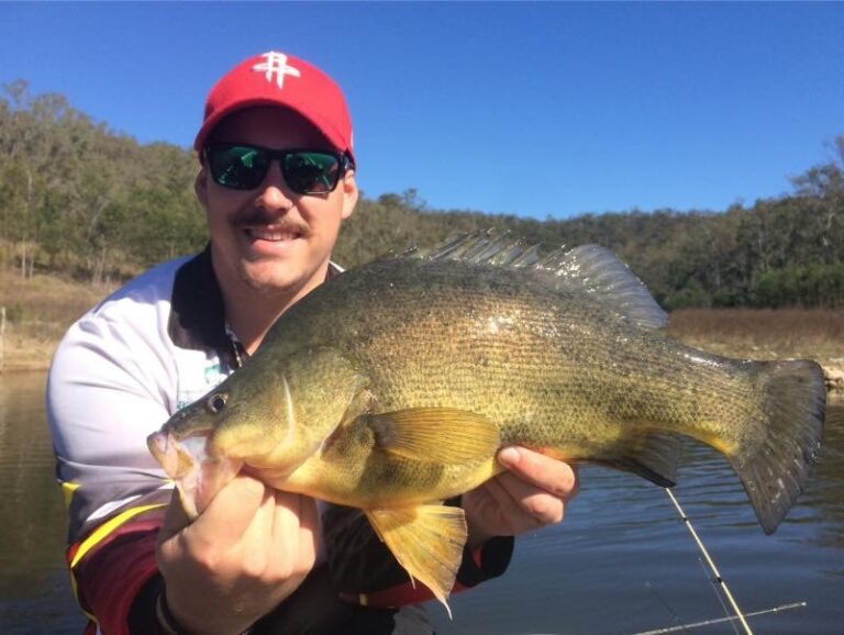 Hinze Dam Fishing Guide | Gold Coast Freshwater Bass & Perch